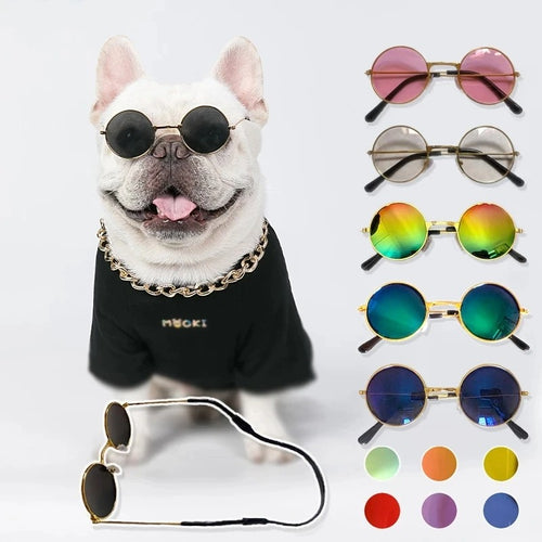 Small Pet Round Sunglasses – Whisker Collective
